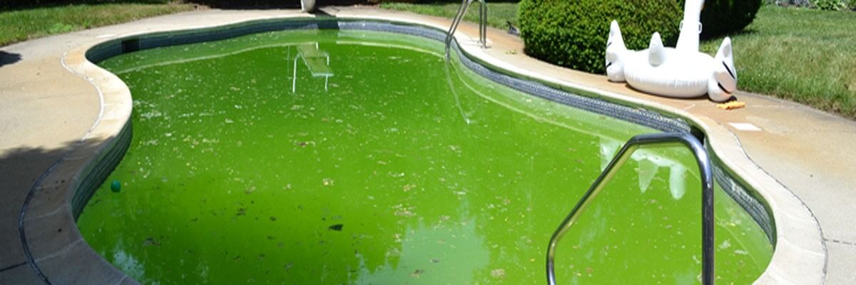 Swimming Pool Equipment | Aqua Clear - Pool Algae Prevention & Treatment